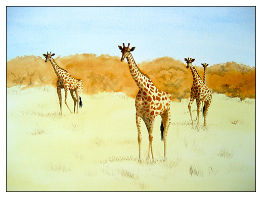 Mally Weaver - African Art